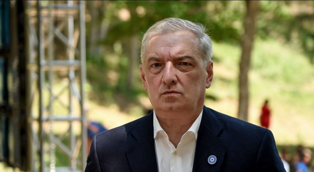 გიორგი ვოლსკი მამუკა გამყრელიძის განცხადებაზე კიდევ ერთხელ დაადასტურა როგორ ებრძოდნენ