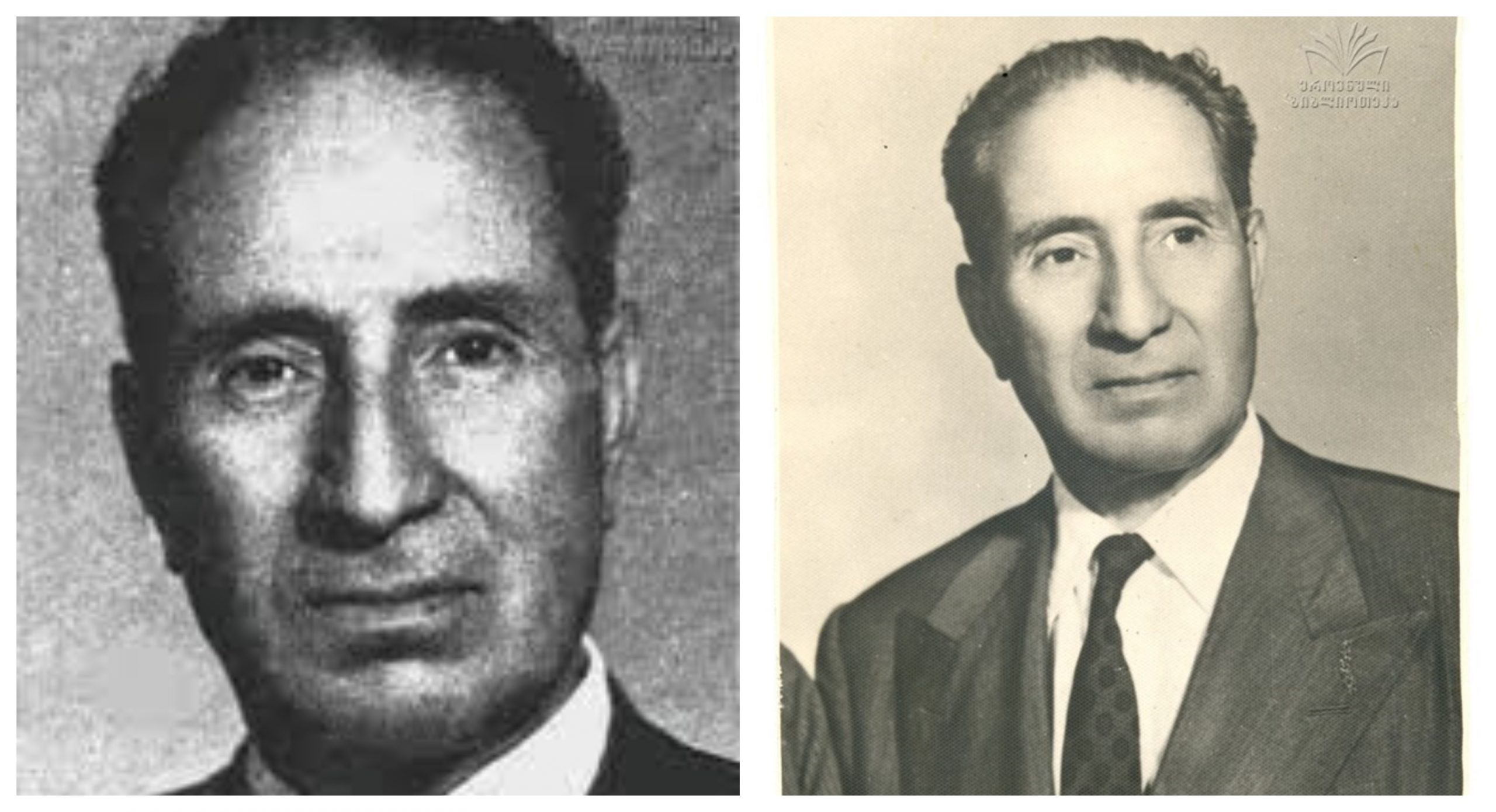 „ასეა ჩემი ბუნება, მელანი რომ არ მქონდეს, ჩემი სისხლით დავწერდი“ - მეცნიერი და რუსთველოლოგი ...