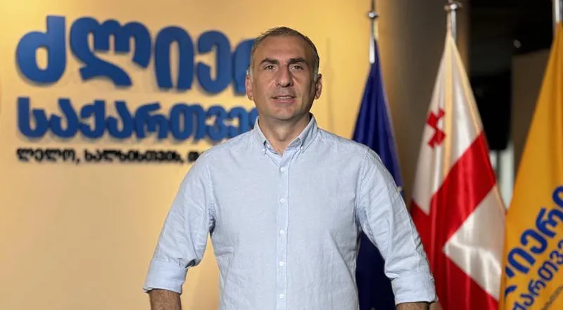 ალი ბაბაევზე თავდასხმის გამო ალეკო ელისაშვილს სამ წლამდე პატიმრობა